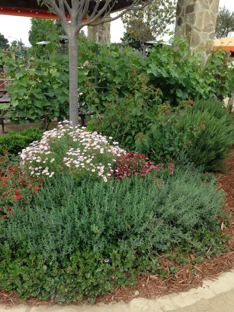 9 Steps to No Grass Landscaping Front Yard (w/Before & Afters)