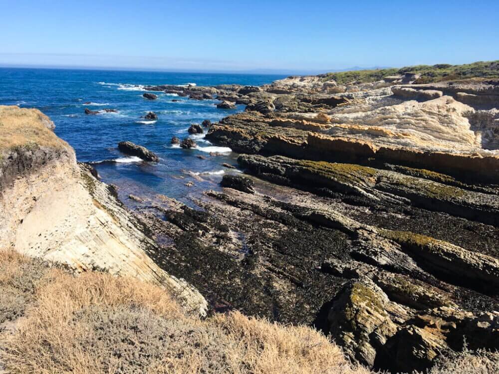 Montana de Oro Bluff Trail: The Best 2-Hour Itinerary (If You Gotta ...