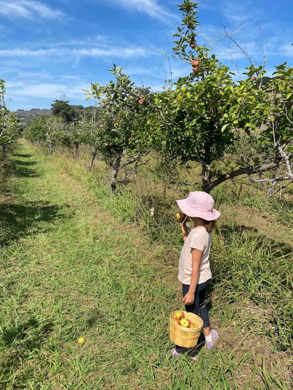 Bob Jones Trail + SLO Creek Farms: A Brilliant 1-Day Itinerary!
