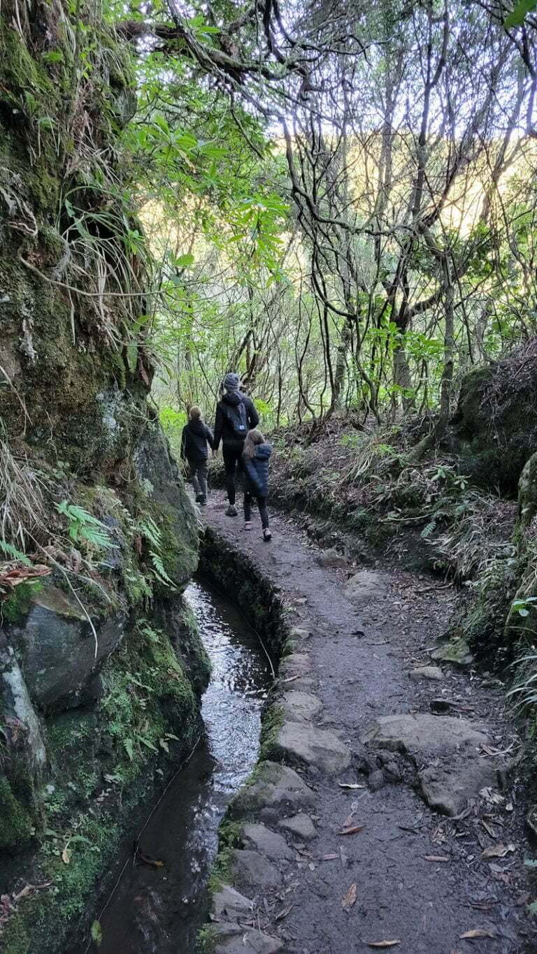 19 Days in Madeira: Exploring Portugal's Atlantic Island 1,000km Off ...