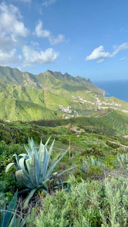 The Canary Islands: 15 Must-Do Activities (+ Living In Spain Again)!
