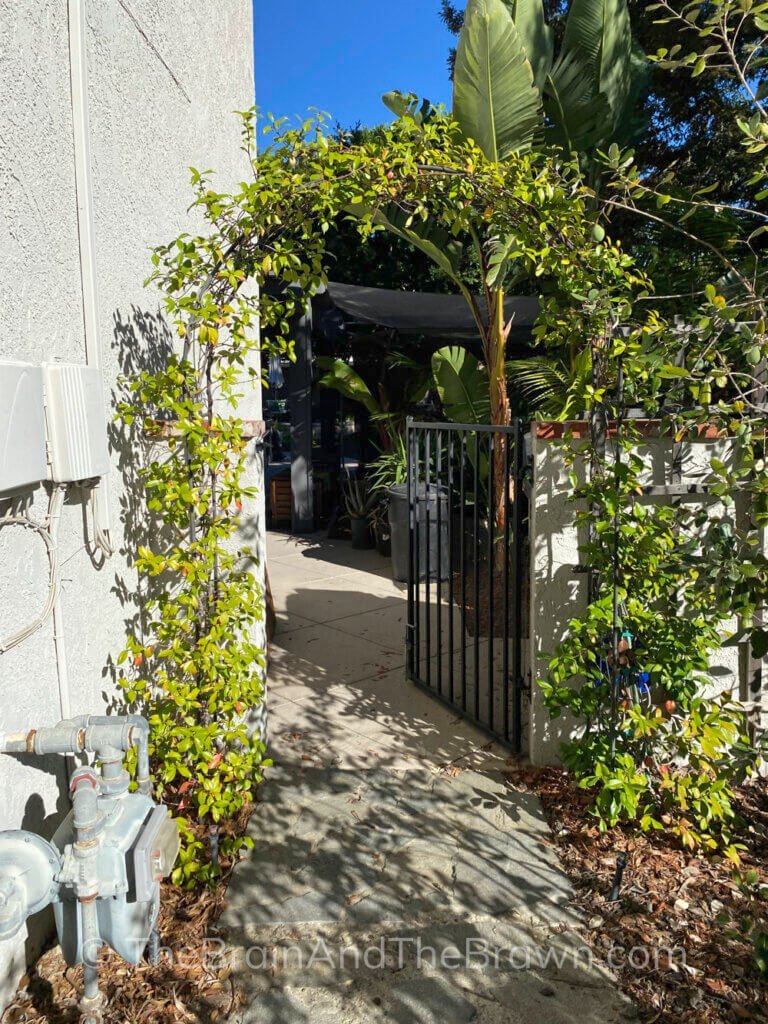 7 Years In: How Our Small, No-Grass Front Yard Landscaping Looks (With ...